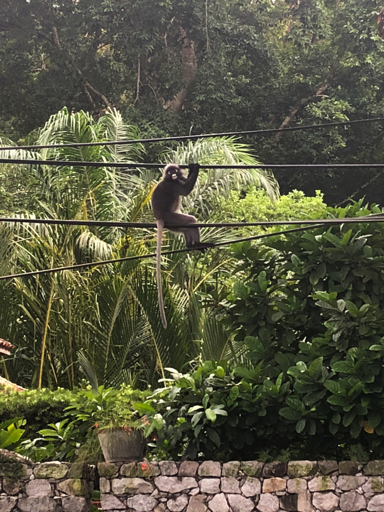 Discover my Style: Traveling in Penang, the Multicultural Island of ...